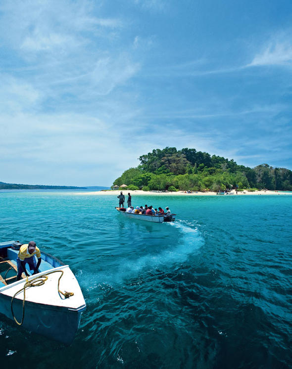 Flora & Fauna in Andaman Islands – Vacations Andaman